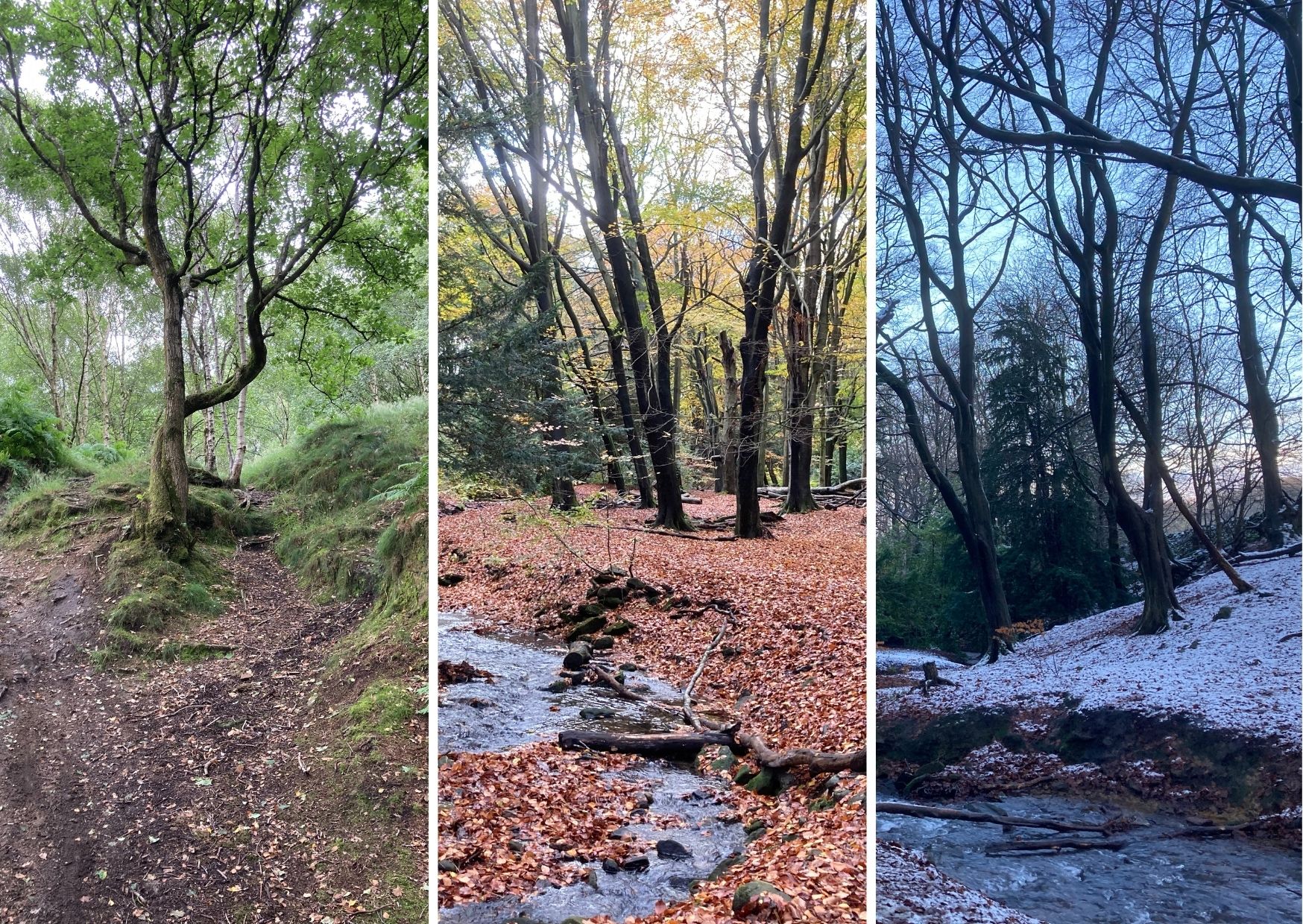 Changing Seasons – Positive Earth UK
